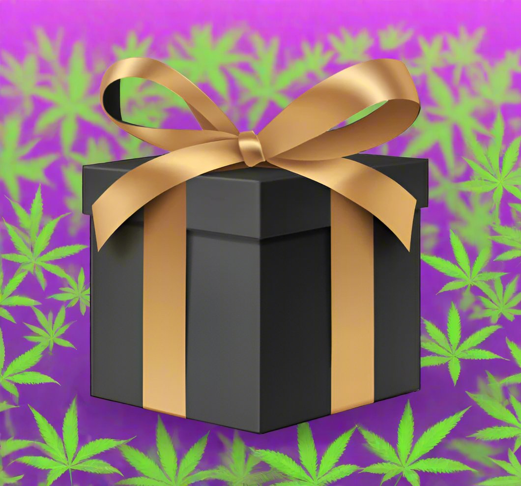 Black Friday FREE Gift Pack – SWL