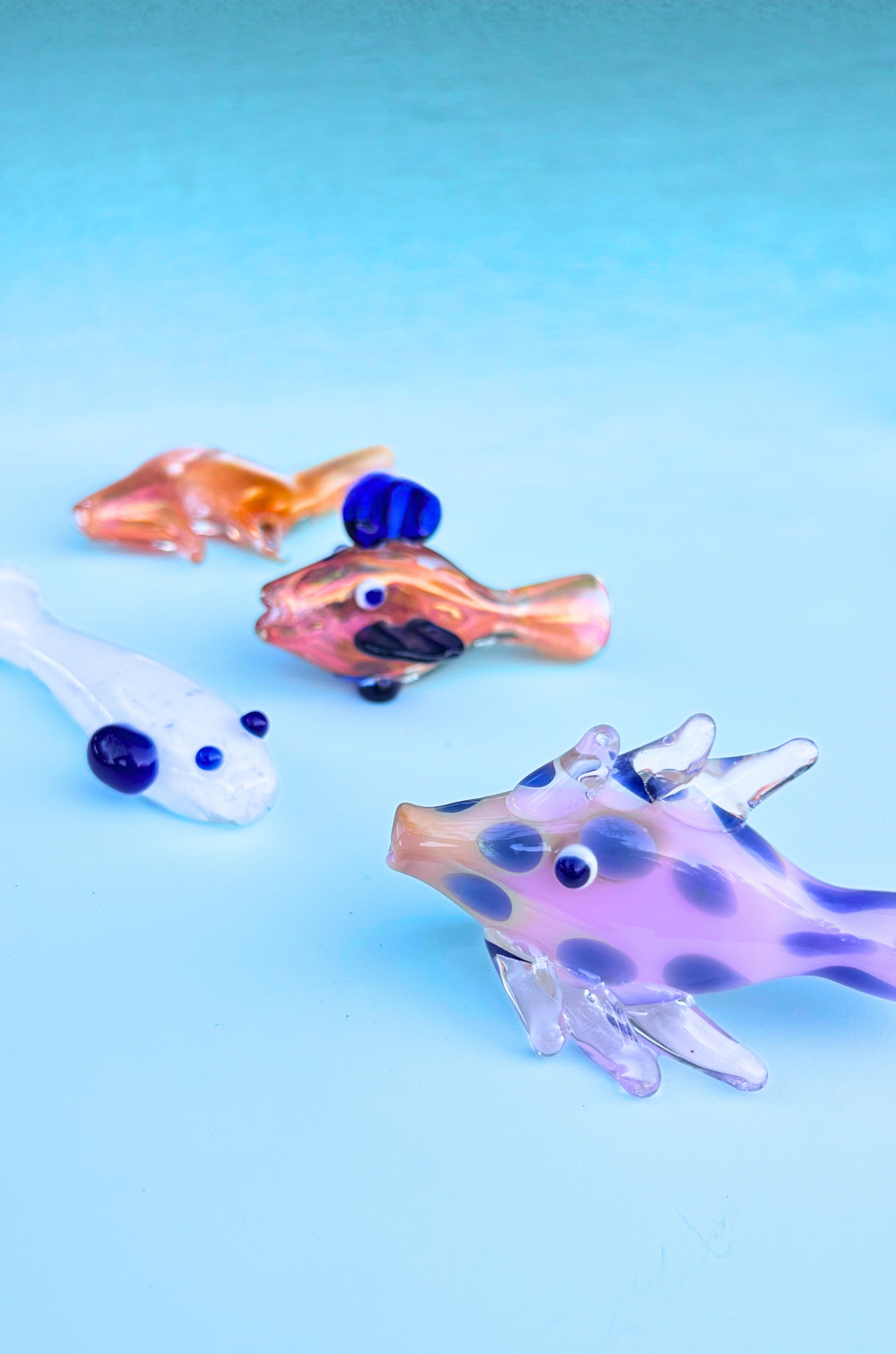 Fish Friend Chillum – SWL