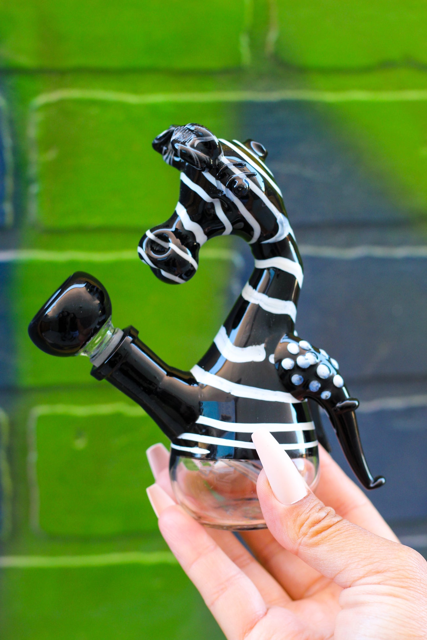 Zebra Mini Rig – SWL